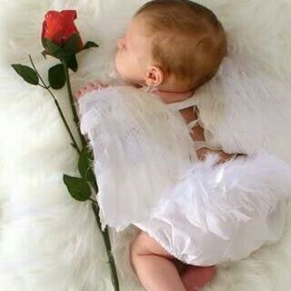 Benjamin Franklin - Mérida, Yucatán