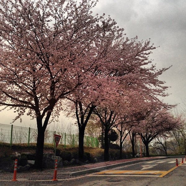 가천대학교 중앙도서관 (Gachon University Central Library) - 복정동 - 성남시, 경기도