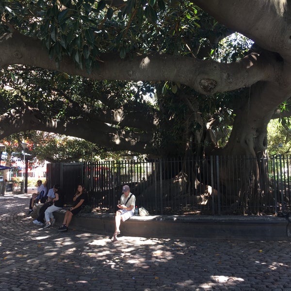 Parque Recoleta - Recoleta - 44 Km