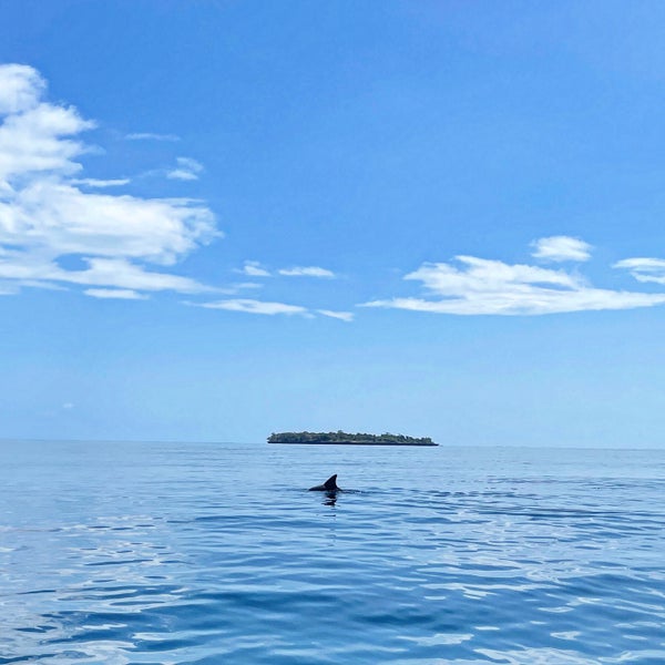 Wasini Island - Other Great Outdoors