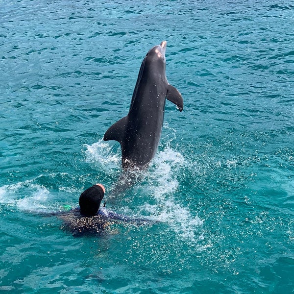 Coral World - 18 tips