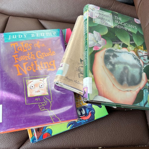 Mary Riley Styles Public Library - 120 N Virginia Ave