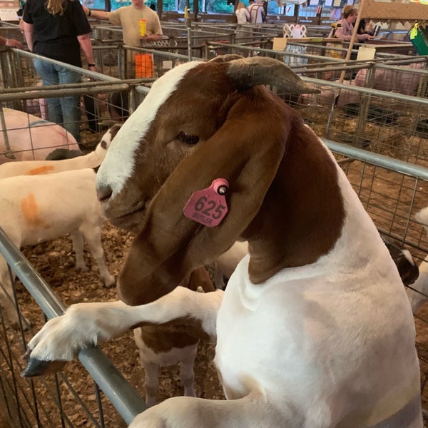 Butler Farm Show - Butler, PA