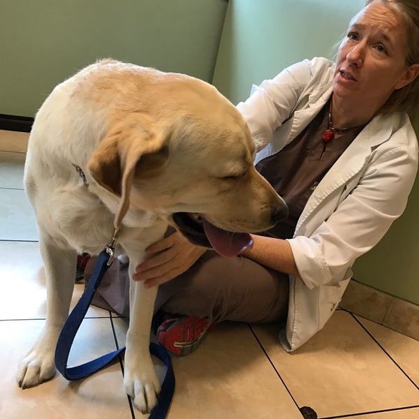 Shane Veterinary - 4816 Lincoln Blvd