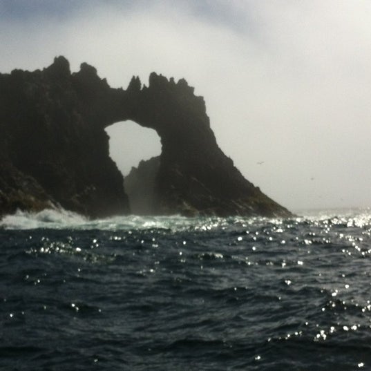 Farallon Islands - Fairmont - San Francisco, CA