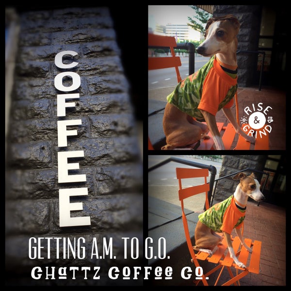Chattz - Chattanooga Coffee Company (Now Closed) - Downtown Chattanooga ...