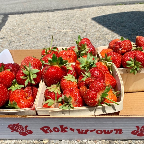 Fulton Farms - 3 tips from 301 visitors