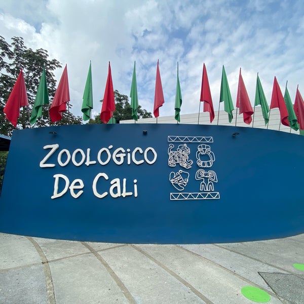 Zoológico de Cali - 84 tips from 2228 visitors
