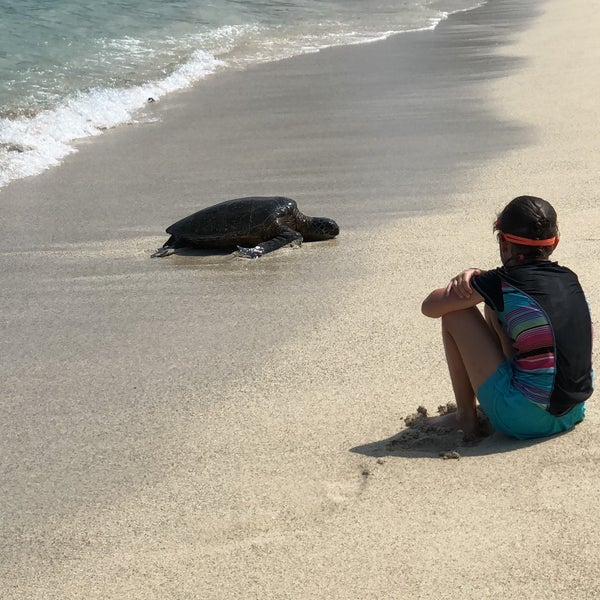 Makole'a Beach - Beach