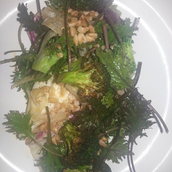 The Beech Tree - Gastropub in Toronto