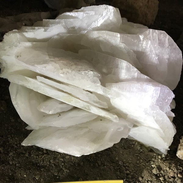 Природо-научен музей - Science Museum