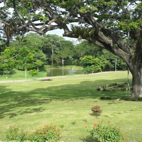 Photos at Palmiste Park - Park in Palmiste