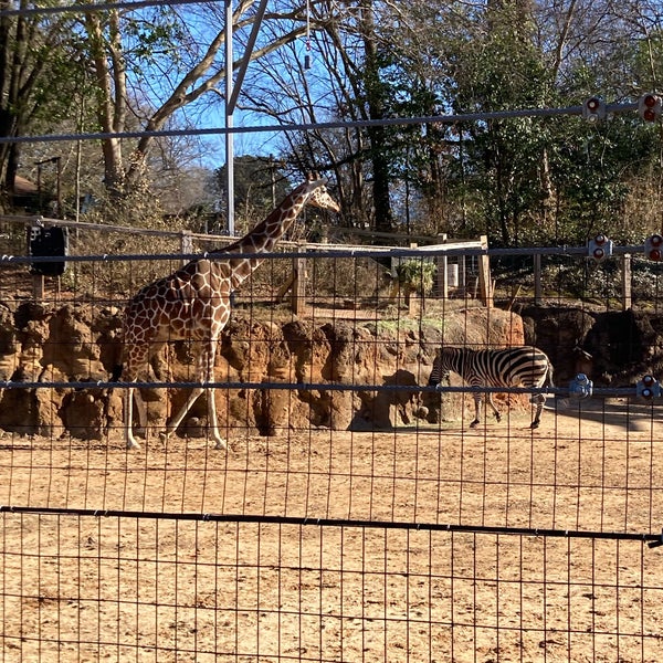 Giraffe Exhibit - Grant Park - 4 tips from 311 visitors
