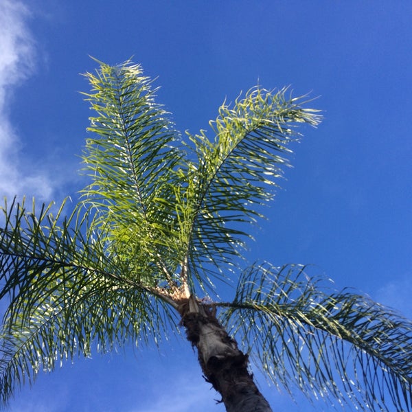Starbucks - Encinitas, CA
