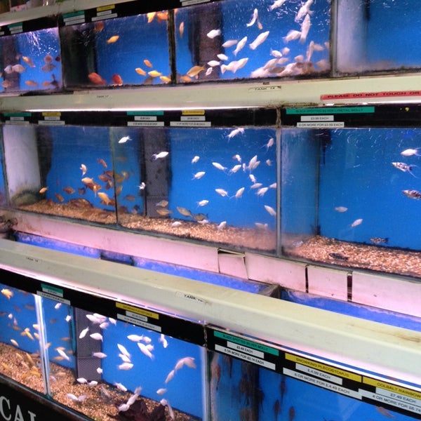 The Goldfish Bowl - 2 tips from 29 visitors