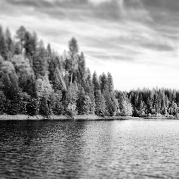 Paradise Lake - Magalia, CA