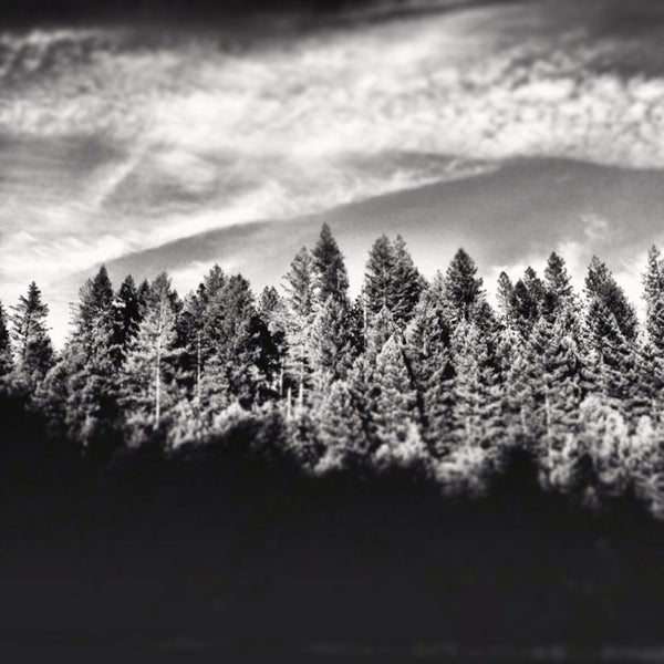 Paradise Lake - Magalia, CA