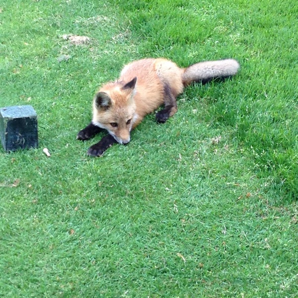 Photos at Kissena Park Golf Course - Golf Course in Flushing