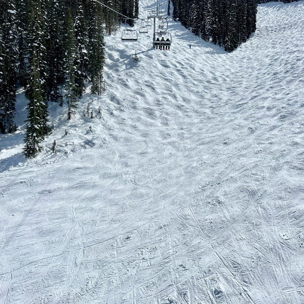 Telluride Ski Resort - Telluride, CO