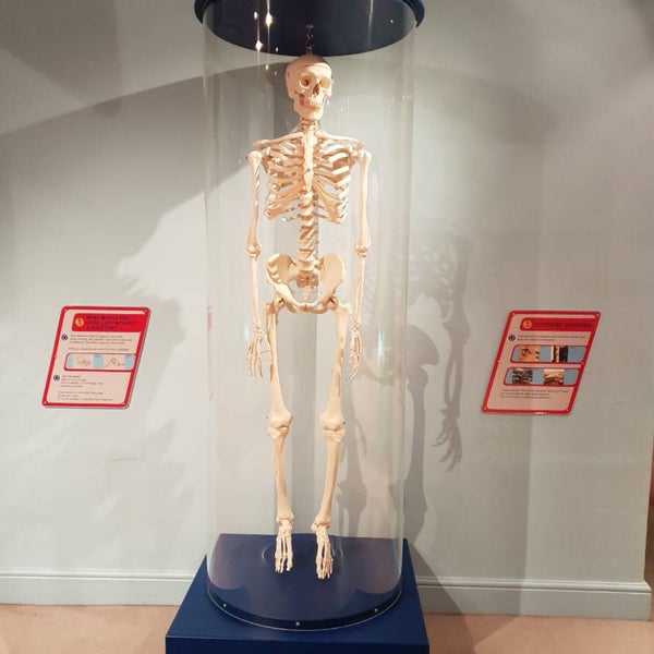 Thackray Museum - 9 tips from 238 visitors