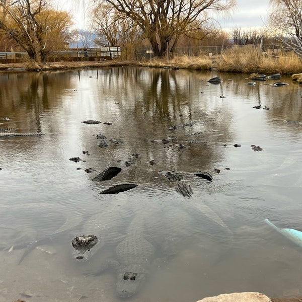 Gator Farm - 6 tips from 231 visitors