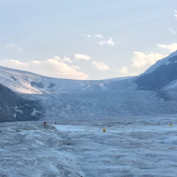 athabasca glacier - Field