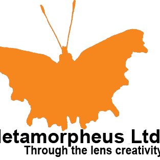 Metamorpheus Ltd
