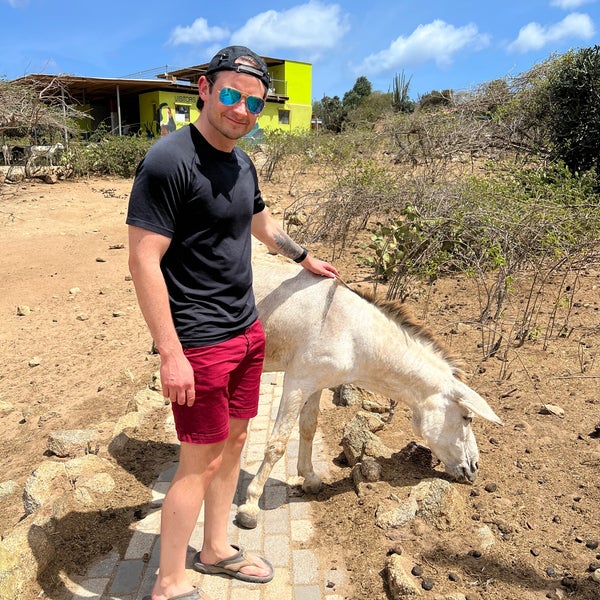 Donkey Sanctuary Aruba - Farm
