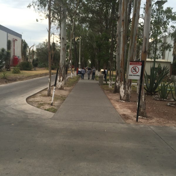 3M México Planta SLP - 247 visitors