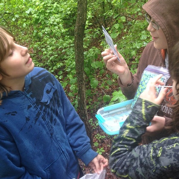 Solley Elementary School - Glen Burnie, MD