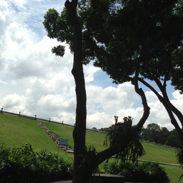 MacRitchie Nature Trails - Central Catchment Nature Reserve - 26 tips ...