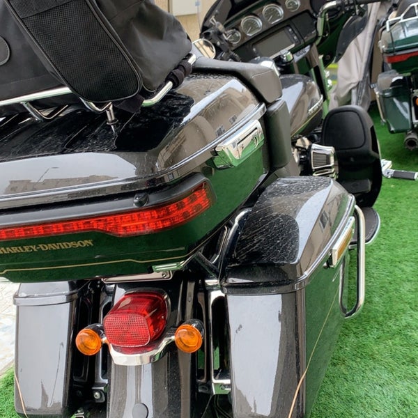 sasco palm | نخلة ساسكو - 1 tip from 648 visitors