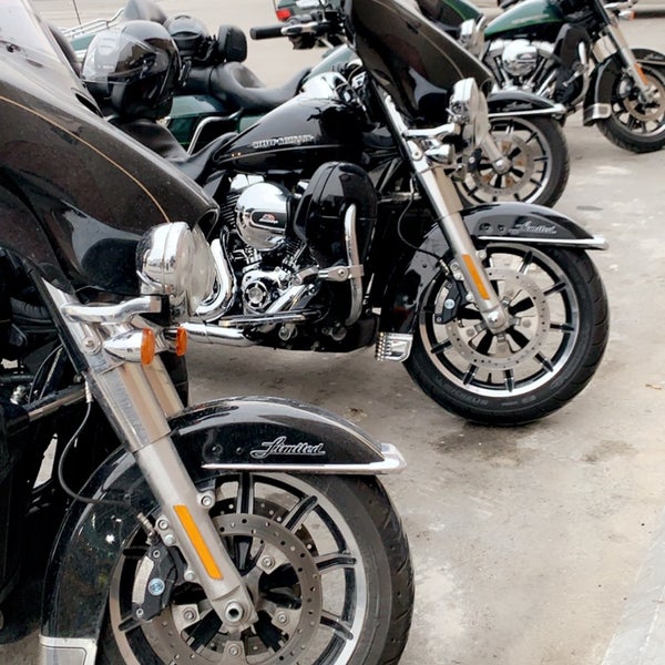 sasco palm | نخلة ساسكو - 1 tip from 648 visitors