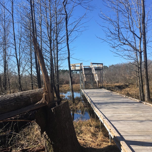 Robbins-Halle Nature Preserve - Collierville, TN