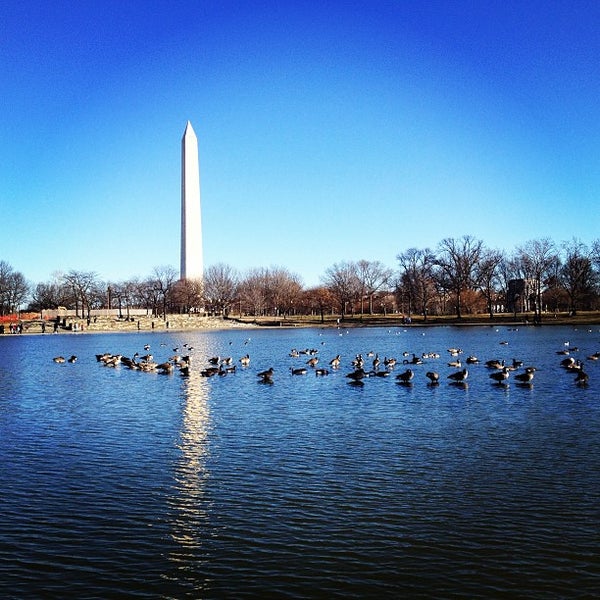 Constitution Gardens - Garden in Washington