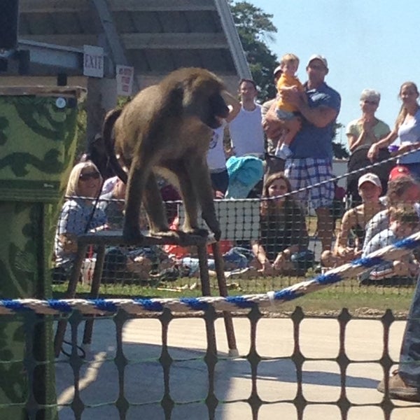Georgia National Fair - Perry, GA
