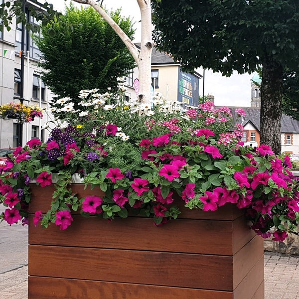 Clonmel Library - Emmet Place