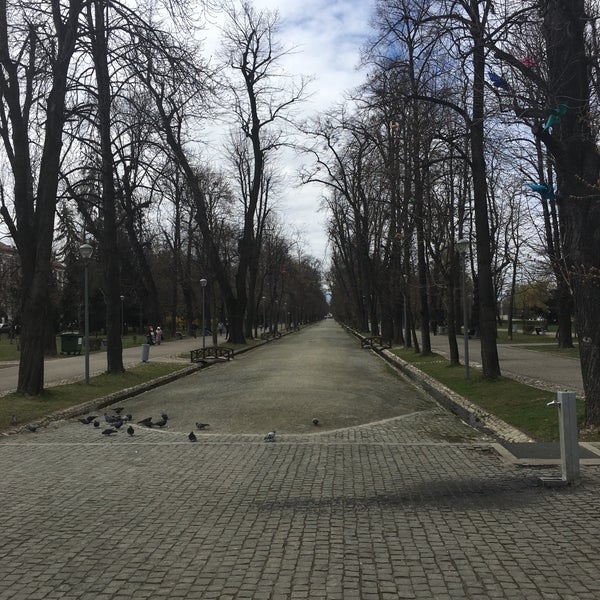 Parcul Central - Park in Cluj-Napoca