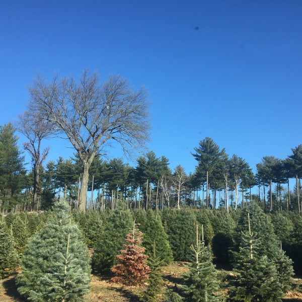 Rollie's Farm - Farm in Lowell