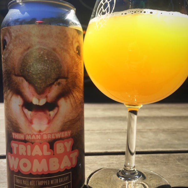 Wombat Nest - Wilmington, MA