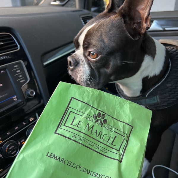 Le Marcel Dog Bakery - Union Street - San Francisco, CA