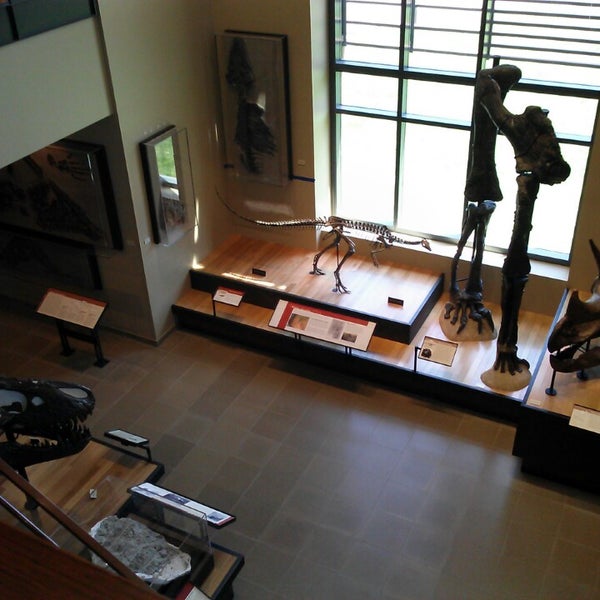 Photos at Beneski Museum of Natural History - 11 Barrett Hill Rd