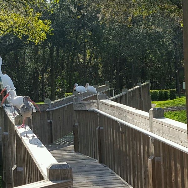 The Dock At Reflections Park - 1 tip from 46 visitors