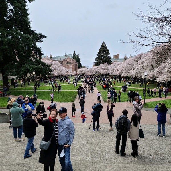 Photos at University of Washington - University District - Seattle, WA
