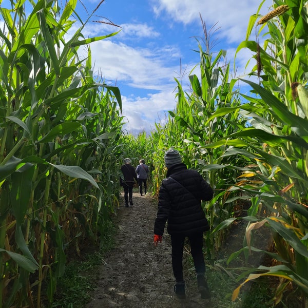 The Farm at Swan's Trail - 14 tips from 1333 visitors