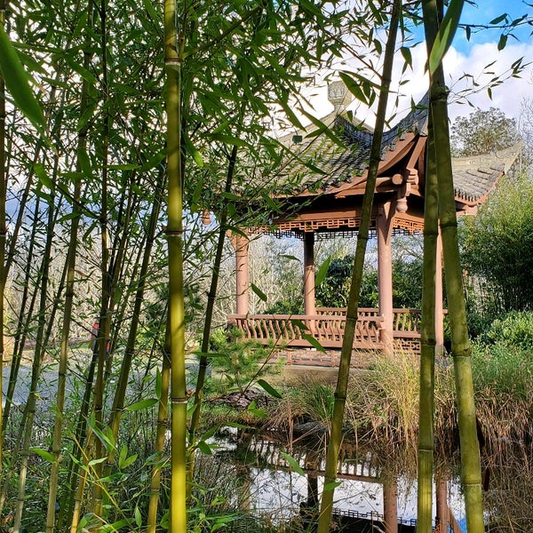 Seattle Chinese Garden - Delridge - 6000 16th Ave SW