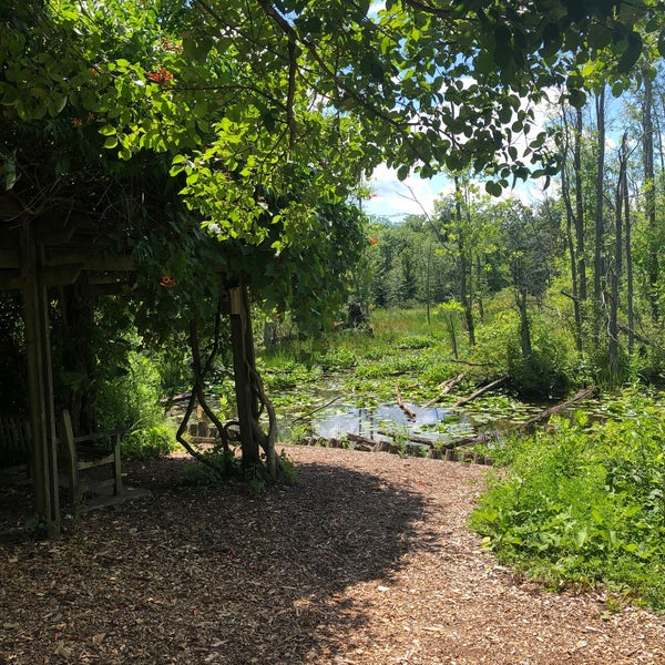 Sapsucker Woods - Ithaca, NY