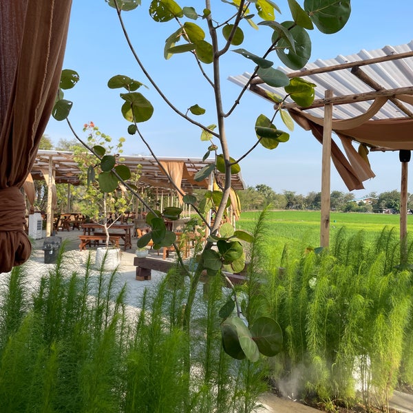 Lamer Homecraft Cafe : ละเมอร์ โฮมคราฟท์ คาเฟ่ - Café