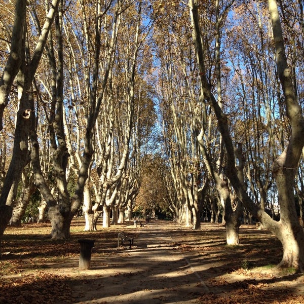 Parc Rimbaud - Les Aubes - Avenue Saint-André de Novigens