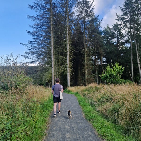 Beecraigs Country Park - Park